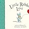Little Rabbit Lost: Horse, Harry, Horse, Harry: 9781682631072: Amazon ...