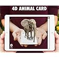Amazon.com: Animal 4D and Food 4D Flashcards : Toys & Games