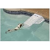 Skamper Ramp lang - sicher und stressfrei aus dem Wasser - 106 x 33 x ...