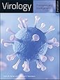Virology: Principles and Applications: Carter, John, Saunders, Venetia ...