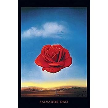 Amazon.com: HUNTINGTON GRAPHICS Meditative Rose by Salvador Dali - Art ...