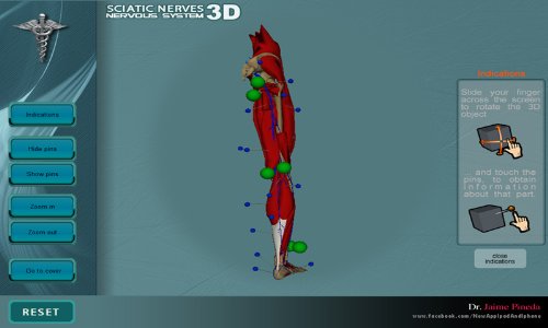 Amazon.com: Anatomy Sciatic Nerves 3D: Appstore for Android