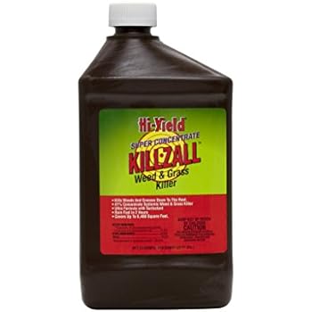 Amazon.com: Hi-Yield Killzall Weed And Grass Killer Concentrate: Beauty