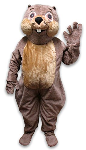 Groundhog Day — Outwriter Books & Travel