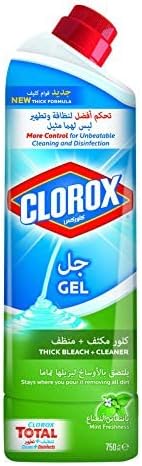 Clorox Gel Mint - 750ml price in Egypt | Amazon Egypt | kanbkam