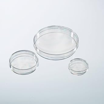 Nunc 150255 IVF Petri Dish, 35 mm x 10 mm (Pack of 500): Amazon.com ...