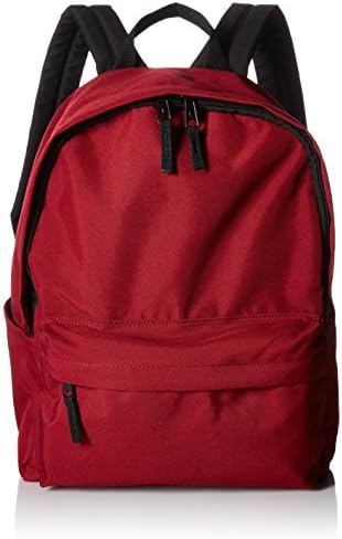 AmazonBasics Classic School Backpack - Red price in UAE | Amazon UAE ...