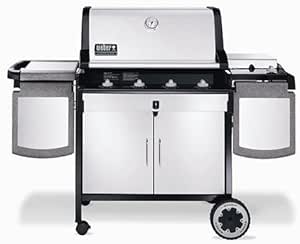 Amazon.com: Weber 5720001 Summit Gold B4 Propane Gas Grill : Patio ...