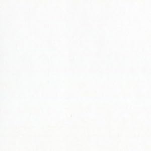 Amazon.com: Bazzill Basics Paper 10-1083 Card Shoppe Heavy Weight ...