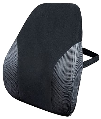 Kantek Memory Foam Back Rest Lumbar Pillow, Removable, Washable Fabric ...