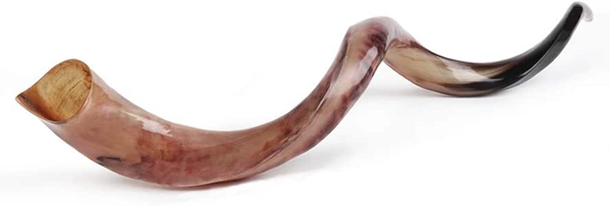 Amazon.com: Extra Large Polished Kudu Horn Shofar with Natural Colours ...