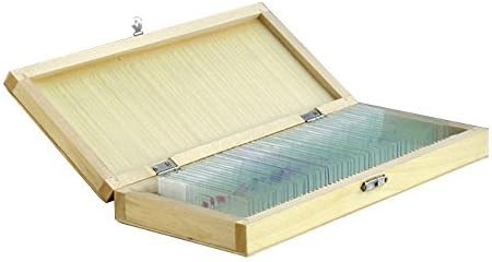 Paralux 61-6572-9 Set of 50 Transparent Microscope Slides – BigaMart