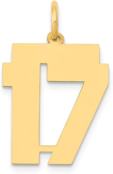 Amazon.com: 14k Medium Polished Number 17 Charm, 14 kt Yellow Gold: Jewelry