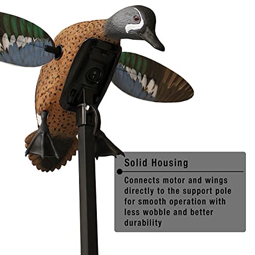 Waterfowl Hunting Equipment MOJO Outdoors Premium Waterfowl Decoys ...
