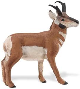 Amazon.com: Safari S284729 Wild North American Wildlife Pronghorn Buck ...