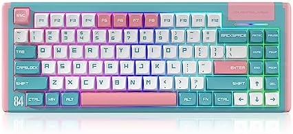 DUSTSILVER D84 Wireless 75% Cute Mechanical Keyboard with RGB, Hot ...