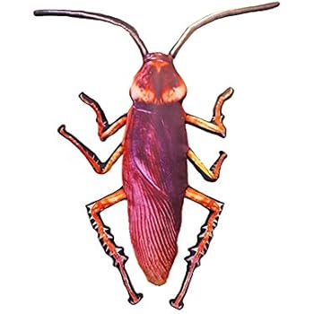 Amazon.com: Creative Cockroach Plush Pillow 3D Animal Insect Stuffed ...