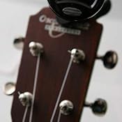 Amazon.com: Snark SN6 Clip-On Ukulele Tuner (Black): Musical Instruments