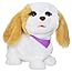 Amazon.com: FurReal Friends Happy to See Me Pets Roxie, My Beatboxin ...