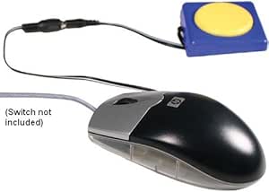 Amazon.com : Adapted Interactive Mouse for PC : Special Needs ...