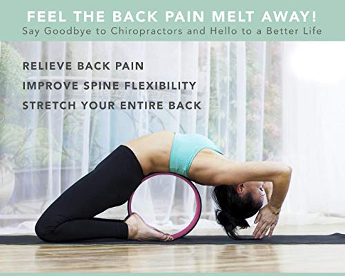 Nature's Integrity Yoga Wheel 13" - [Elite Series] Strongest, Most ...