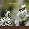 Bees and Honey: From Flower to Jar: Michael Weiler: 9780863155758 ...