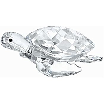 Amazon.com: Swarovski Sea Turtle Figurine: Home & Kitchen