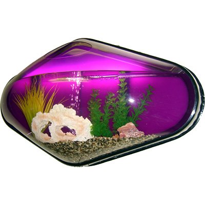 Amazon.com : Diamond Shape Bubble Hanging Aquarium Complete Self ...