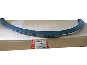 Amazon.com: Genuine GENUINE LAND ROVER FRONT FENDER WHEELARCH RANGE ...