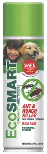 EcoSMART 33103 Organic Ant and Roach Killer, 14-Ounce | Amazon price ...