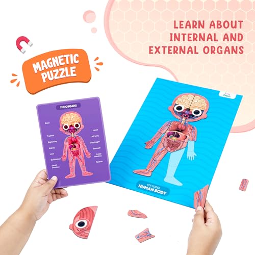 The Human Body Puzzles for Kids | My Human Body - LoveDabble | Learning ...