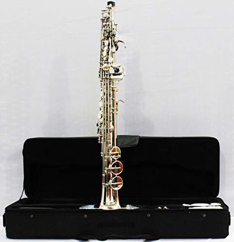 سعر سوزوكي - ساكسفون سوبرانو مع حقيبة - SPRANO SAX-SLV فى مصر | بواسطة ...