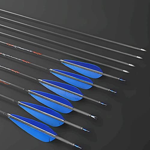 Carbon Arrows 400 Spine Are Tiger Archer Arrows Good 500 Spine Arrow 24 ...