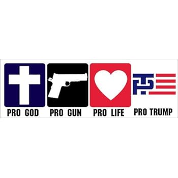 Amazon.com: American Vinyl Pro God Pro Gun Pro Life PRO TRUMP Bumper ...