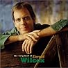 David Wilcox - Underneath - Amazon.com Music