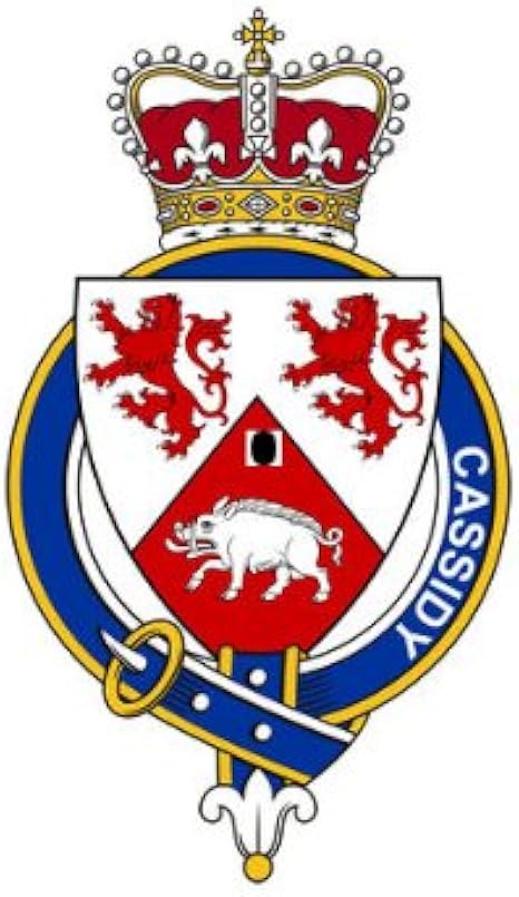 Amazon.com : Cassidy Ireland Family Crest Coat of Arms Mouse Pad : Clothing