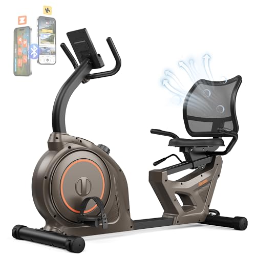 Niceday Recumbent Exercise Bike, Recumbent Bike for Home, Recumbent ...