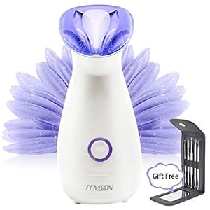 Amazon.com: ECVISION Nano Ionic Warm Mist Facial Steamer Hot Mist ...