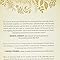 Louisa on the Front Lines: Louisa May Alcott in the Civil War: Seiple ...