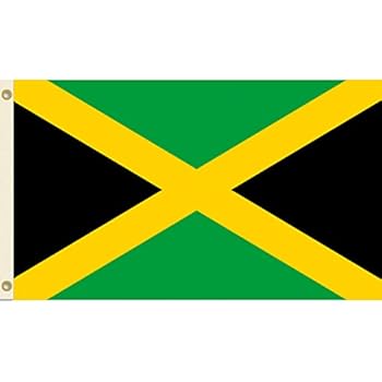 Amazon.com : 3x5 Jamaica Flag 3' x 5' Jamaican Banner Pennant Indoor ...