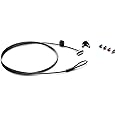 Amazon.com: HP Cable Lock - 6 ft Cable - Keyed Lock - Galvanized Steel ...