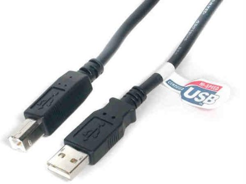 Amazon.com: StarTech.com High Speed Certified USB 2.0 USB cable - 10 ft ...