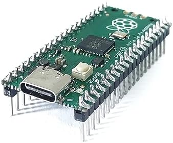 سعر Raspberry Pi Pico Pre-Solder Header with Type-C USB فى مصر | بواسطة ...
