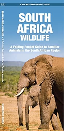 South Africa Wildlife: A Folding Pocket Guide to Familiar Animals in ...
