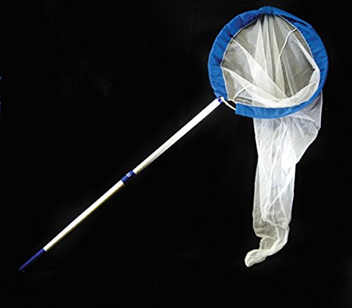 Eisco Labs Insect Spreading Board Adjustable up for insects up to 12mm ...