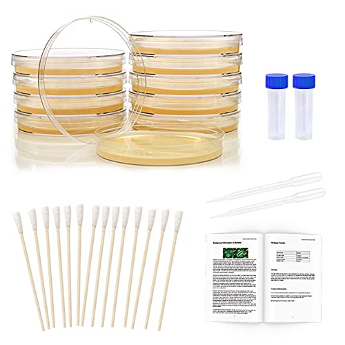 Bacteria Science Kit Petri Dishes with Agar and Swabs | Top Science ...