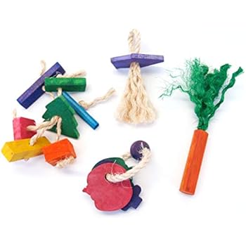 Amazon.com : 4 Pack Toys for Rabbits - Bundled : Pet Chew Toys : Pet ...