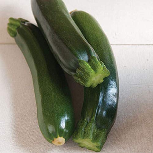 How To Grow Zucchini (From Seed To Harvest) - Homestead Acres