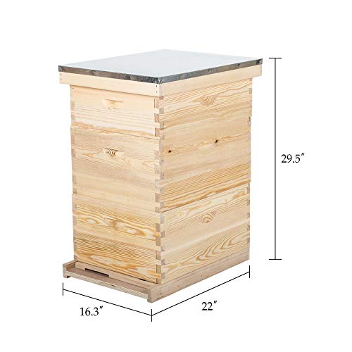 TERRADISE Bee Hive, 3 Layer Honey Bee Hives, Beekeeping Supplies Beehive Kit with 10 Medium 20 ...
