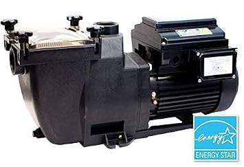 Amazon.com : Blue Torrent Pumps Variable Speed Energy Star Certified In ...